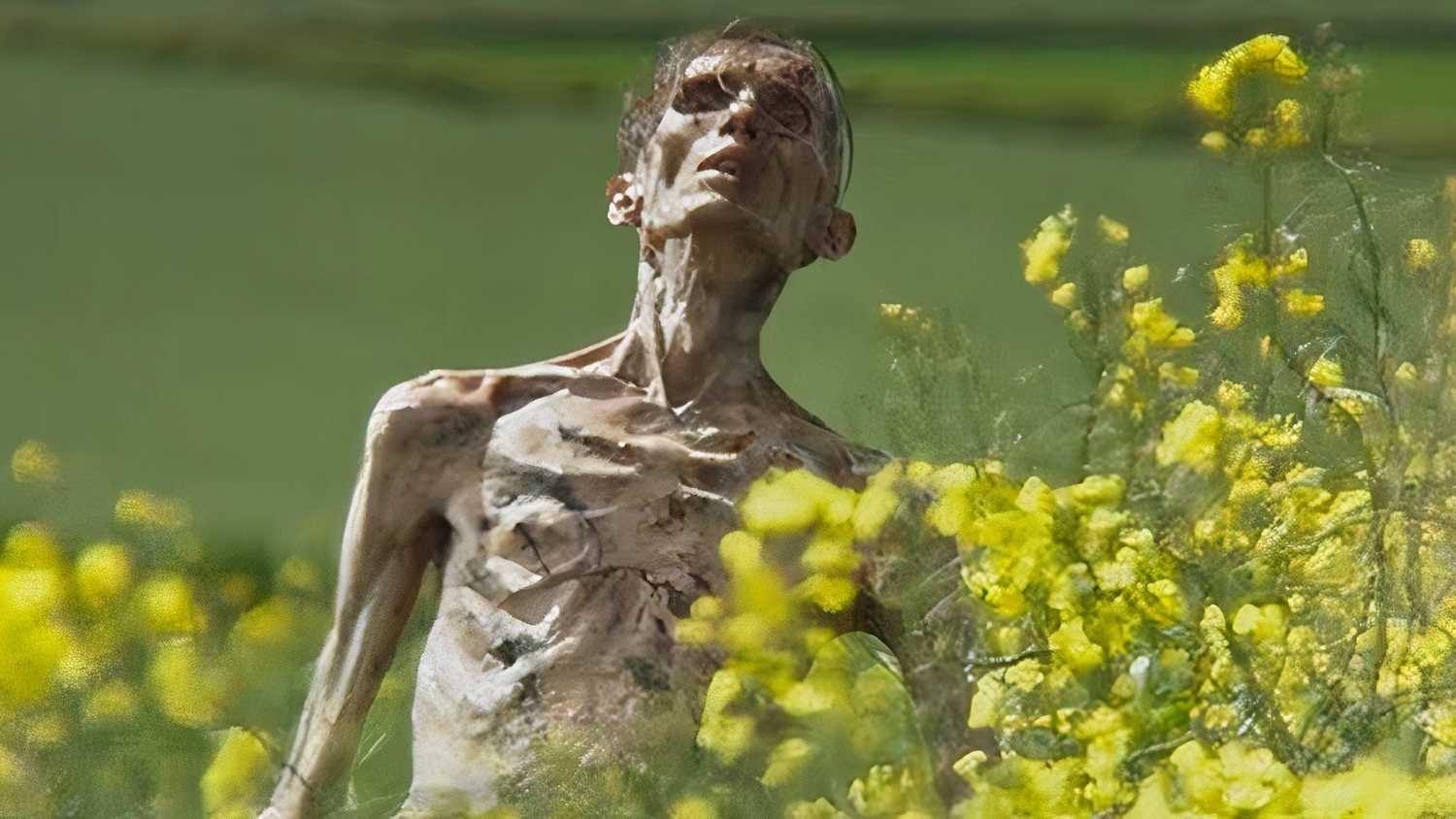 Vì sao Aaron Taylor-Johnson không trở lại trong 28 Years Later: The ...